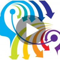 Tiger's NVC Empathy Cards For Children - NewInsight