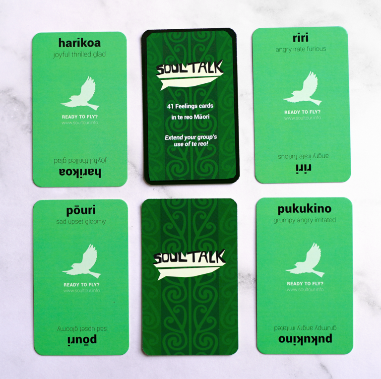 Te Reo Maori Feelings Cards (NVC) – NewInsight